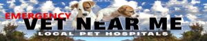 Find Emergency Vet by ZIP Code - Vet Near Me